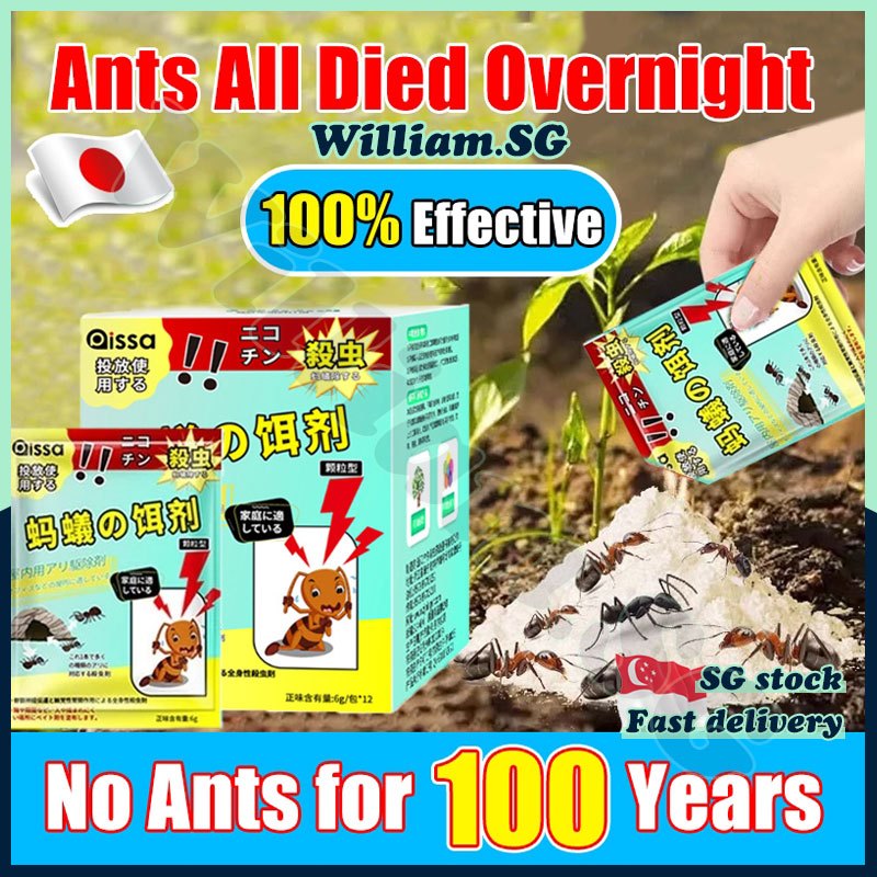 🌵𝗦𝗚 𝗦𝗧𝗢𝗖𝗞🌵【12 bags/box】 Ant killer powder Termite powder Ants repellent ...