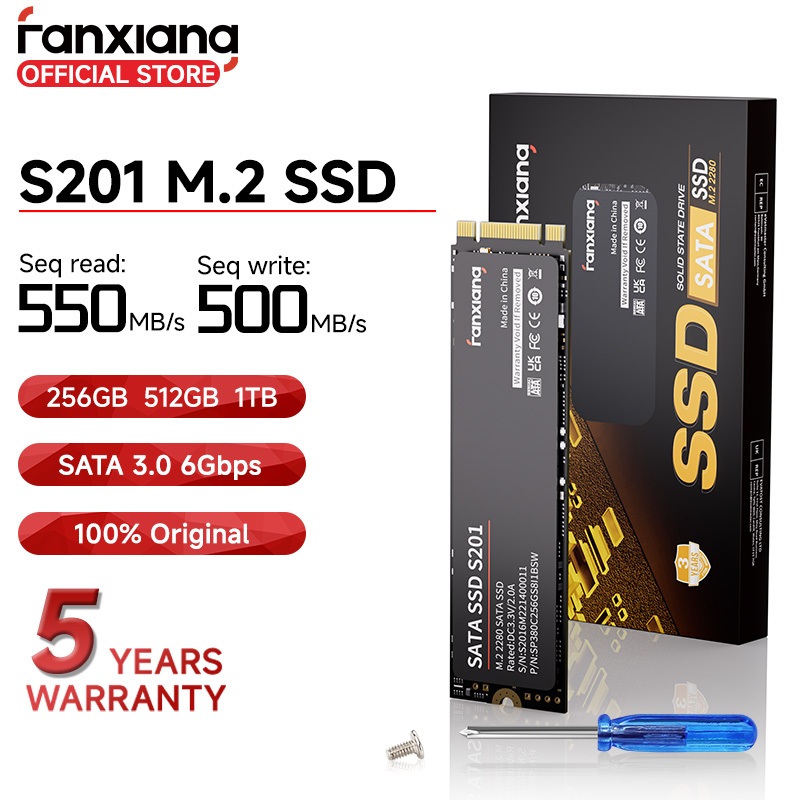 Fanxiang S201 SSD M.2 SATA 128GB 256GB 500GB Read 560MB/S Internal ...