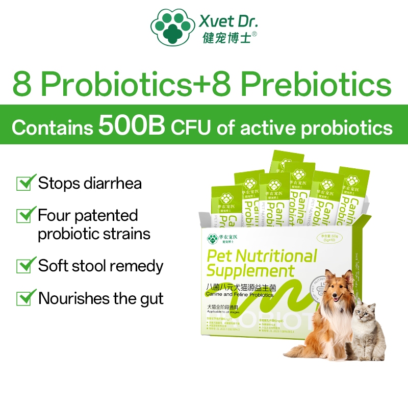 Xvet Dr Probiotic and Prebiotic for Dog Cat Pet Supplement Pet Active ...