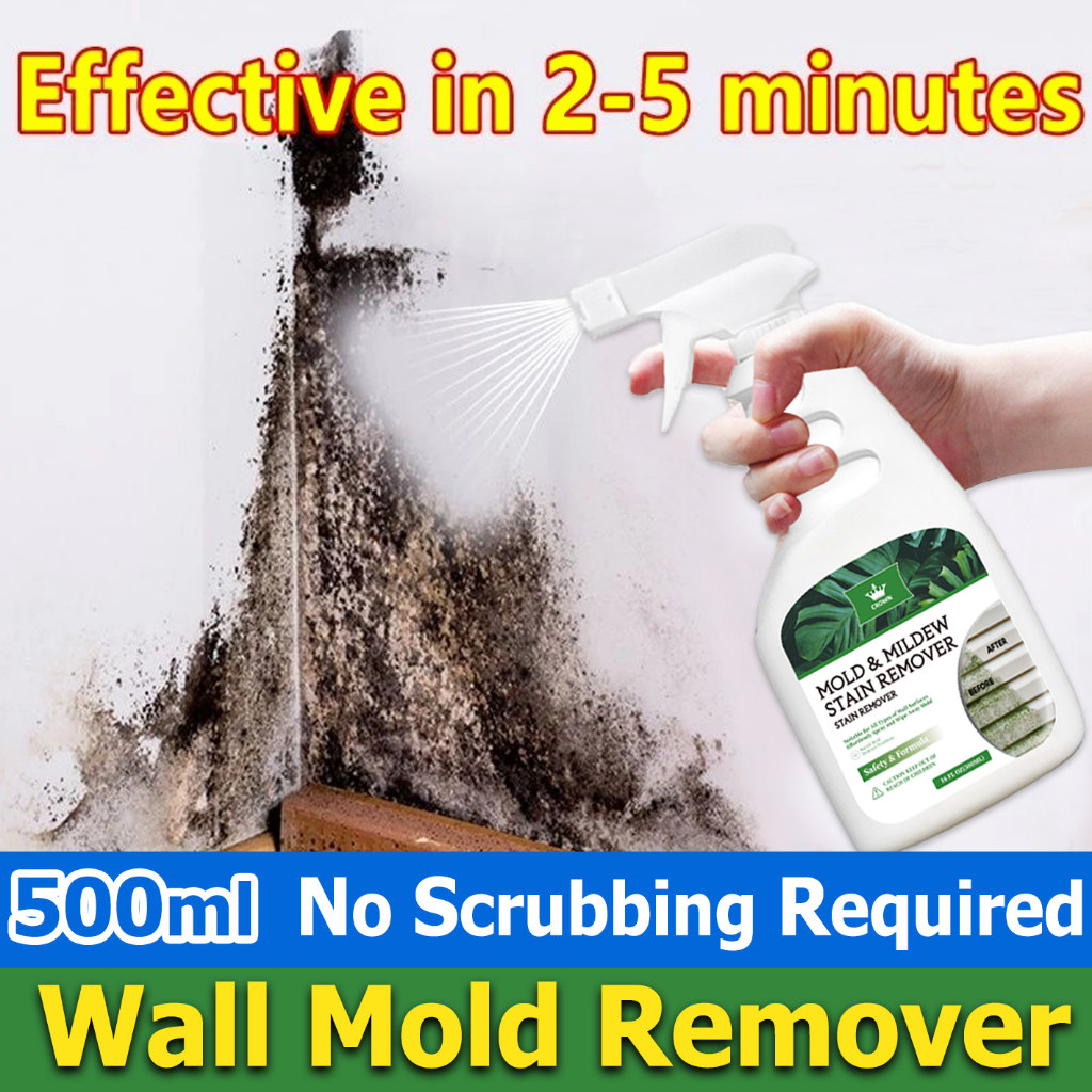 【SG Stock】Quickly Mold Remover Spray Mold Mildew Stains Mould Remover ...