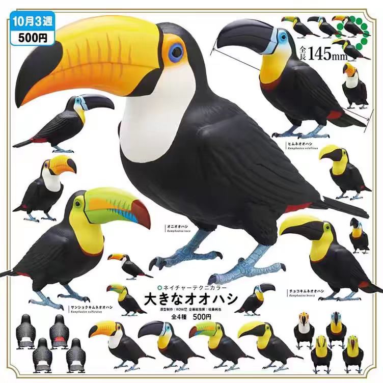 IKIMON capsule toys cute kawaii Nature Techni color Big Toucan large ...