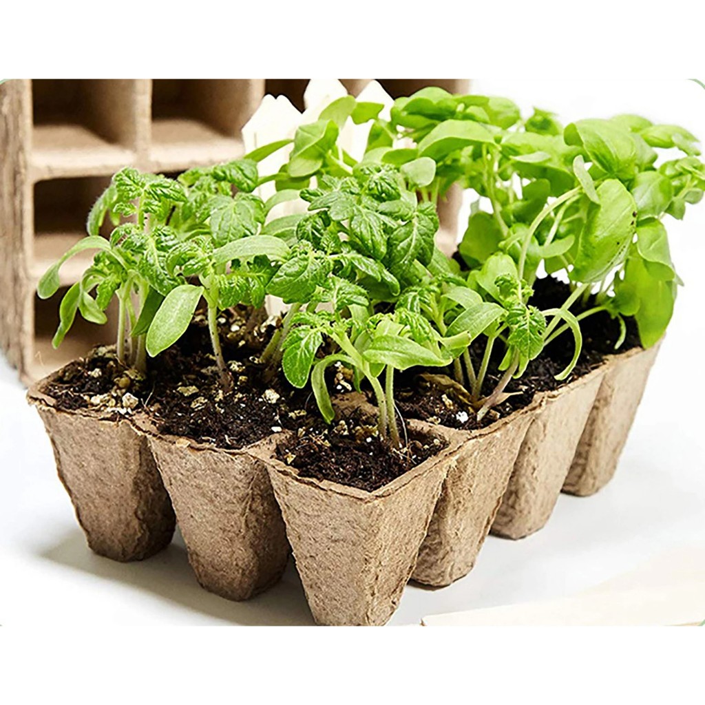 Seedling Tray 10 Grid Seedling Tray Biodegradable Pulp Seedling Cup ...