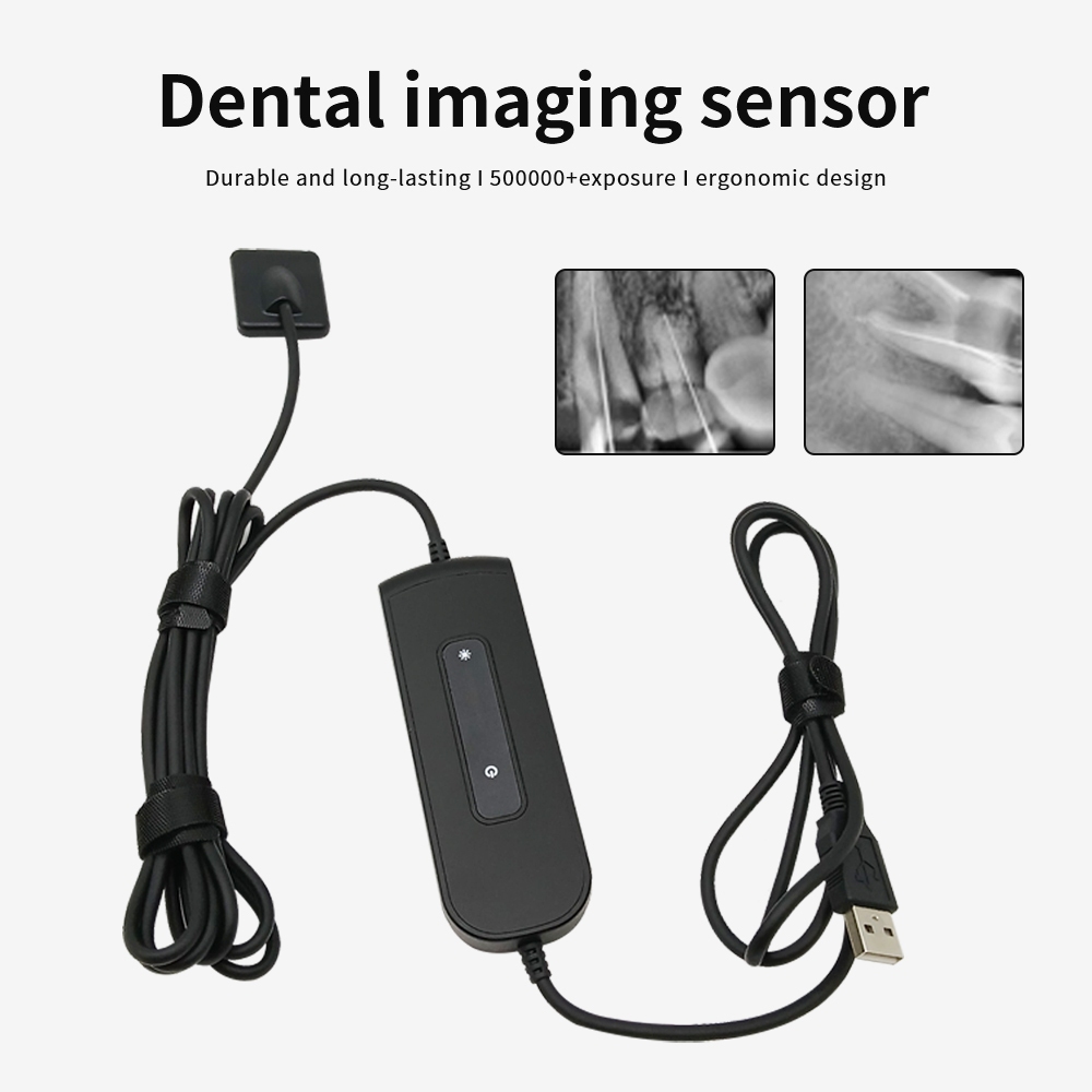 Portable Dental Medical Equipment Digital X-ray Sensor Rvg Sensor ...