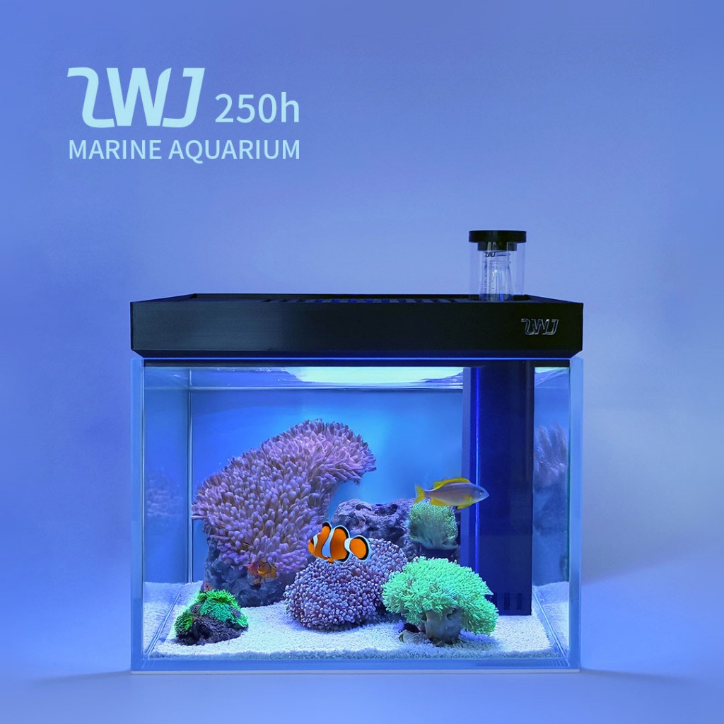 Zwj Mini Seawater Tank Full Set System First Choice for Beginners Small ...
