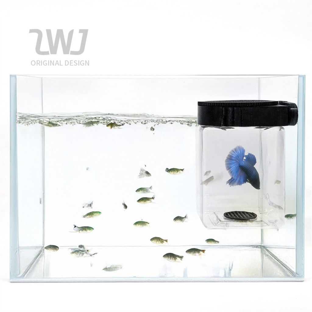 Magnetic Isolation Tank In the Fish Tank, Can Be Fixed to Any Position ...