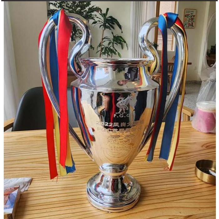 [Customized Trophy] Football Competition Trophy Customized EPL, UCL ...