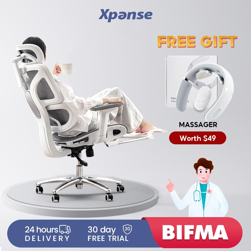 Xpanse Mesh Ice silk Ergonomic Office Chair Gaming Adjustable Lumbar ...