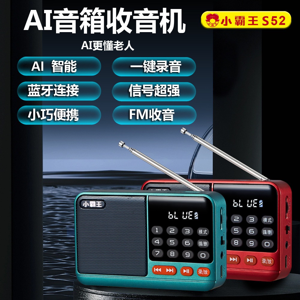 XiaoBaWang S52 Bluetooth FM Radio Portable Mini Radio with auto search ...