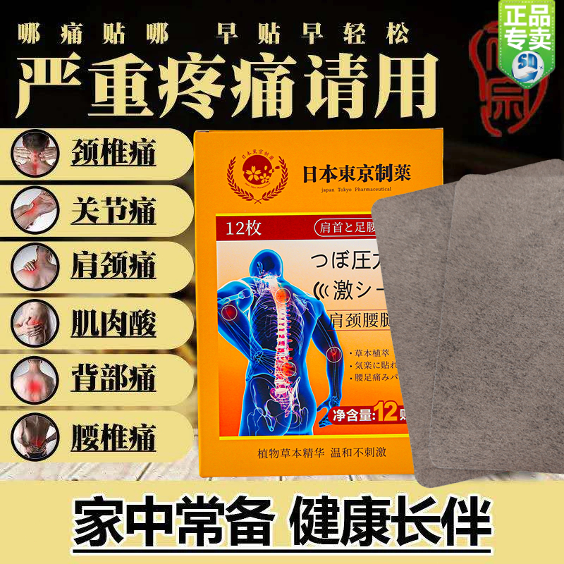 Tokyo R&D> Pain Relief Patches 12pcs/box Pain Relief Sprain Arthritis ...
