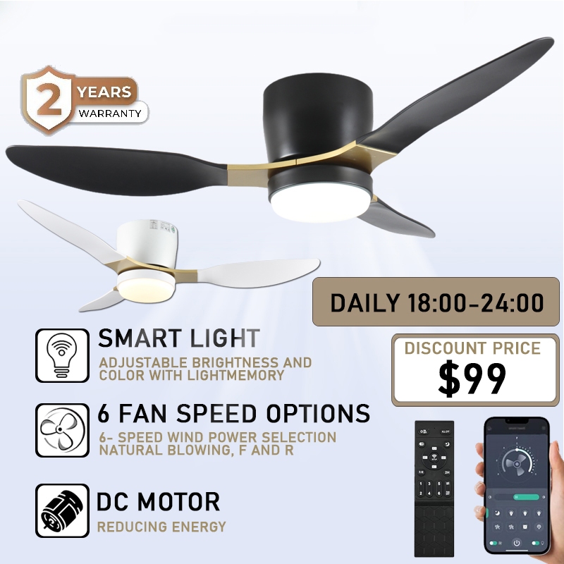 SG Stock Ceiling Fan 46"/52" Standard Ceiling Fan | 3 Blades ...
