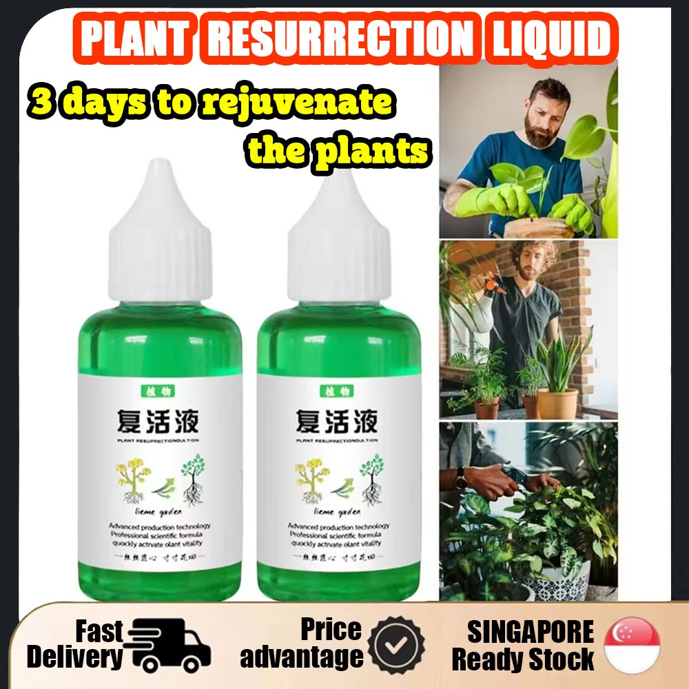 🇸🇬 Seller Quickly Rooting and Revitalizing Green Plant Resurrection ...