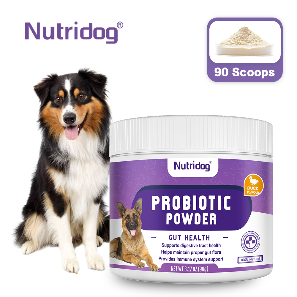 Dog probiotic powder enhances digestion and absorption and relieves ...