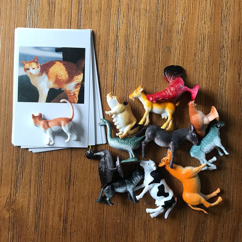 Montessori Learning Toys Language Materials Montessori Animal Matching ...
