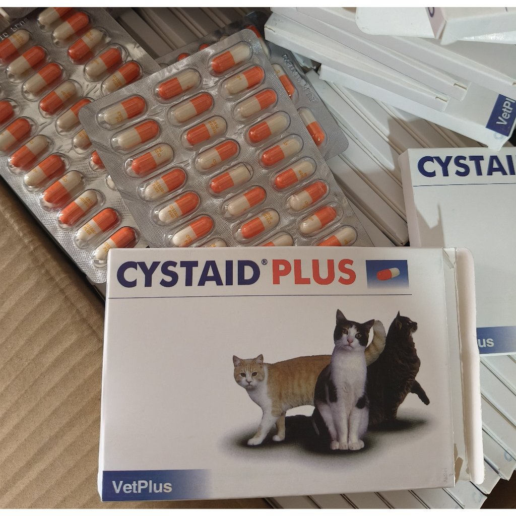 Vetplus Cystaid Plus 1 BOX (30 limbs) Urinary Care cures Urinary ...