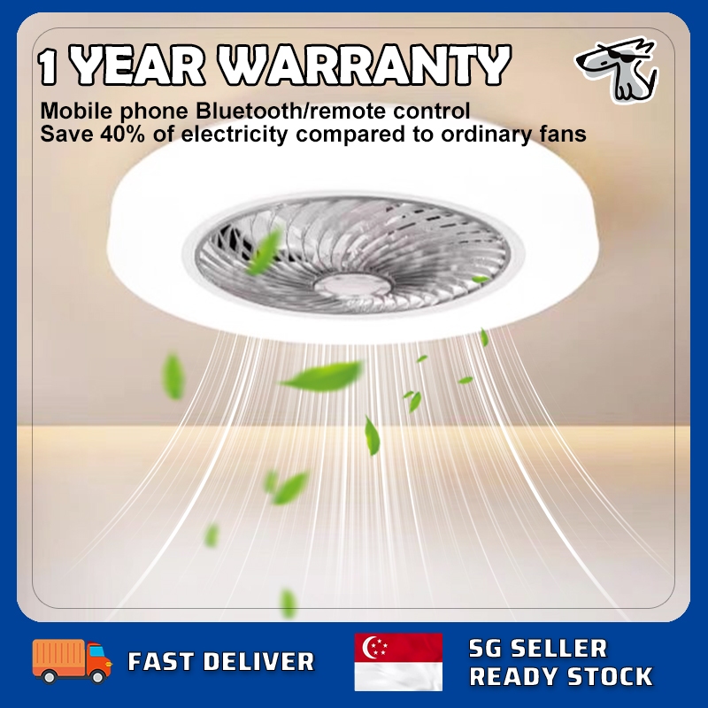 [SG Stock] Ceiling Fan Light Intelligent 6-Speed Timed With Remote ...