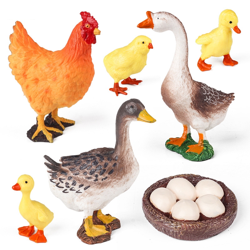 Children cognitive animal simulation model poultry hen duck goose gives ...