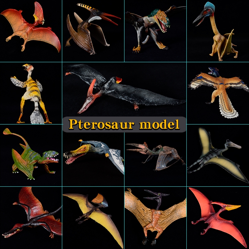 Dinosaur Toys Set, Realistic Pterosaur Dinosaur Model Toys for Kids ...