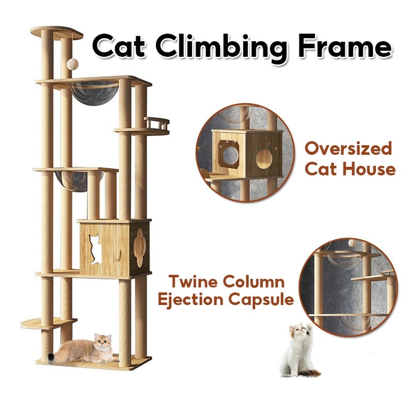 RUNPET Cat Climbing Frame Cat Tree Cat Nest All In One Tonto Pillar ...