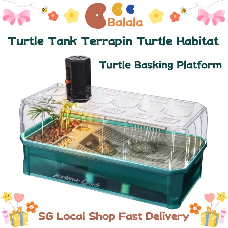 Turtle Tank Turtle Basking Platform Terrapin Turtle Habitat Turtle Pond ...