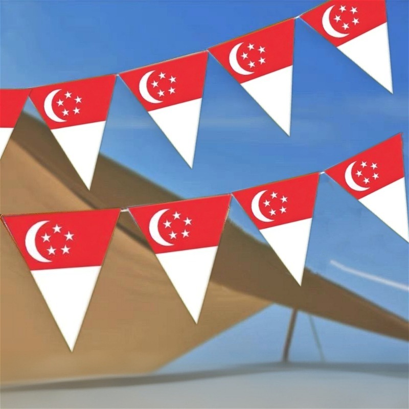 LOCAL SELLER Singapore Triangular Flag 14*18cm NDP National Day Red ...