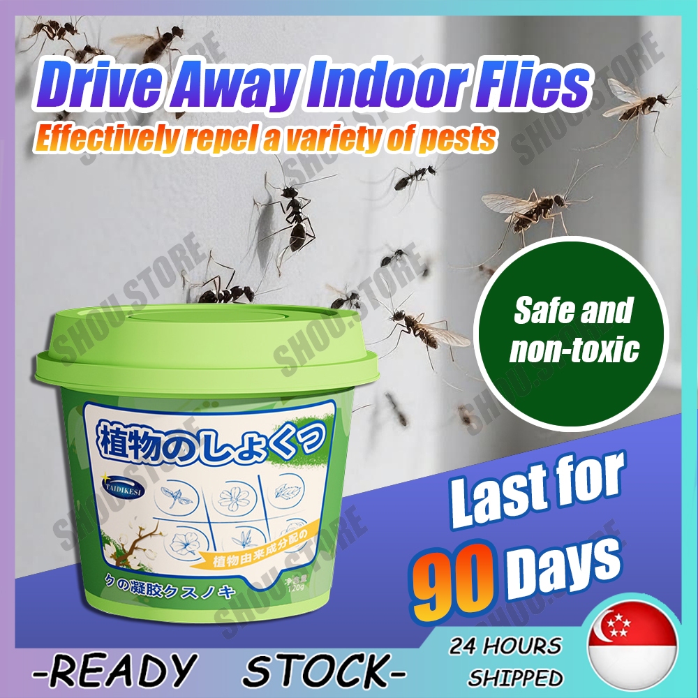 【SG Stock】Mosquito Repellent Plant Mosquito Repellent Gel Cockroach ...