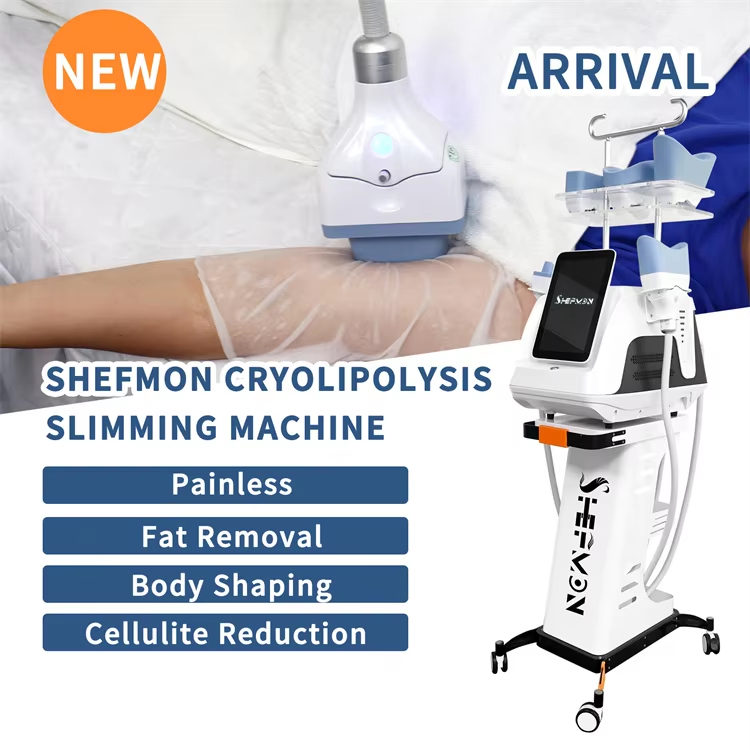 360Cryo Fat Freeze Slimming Machine Cryotherapy Weight Reduction ...