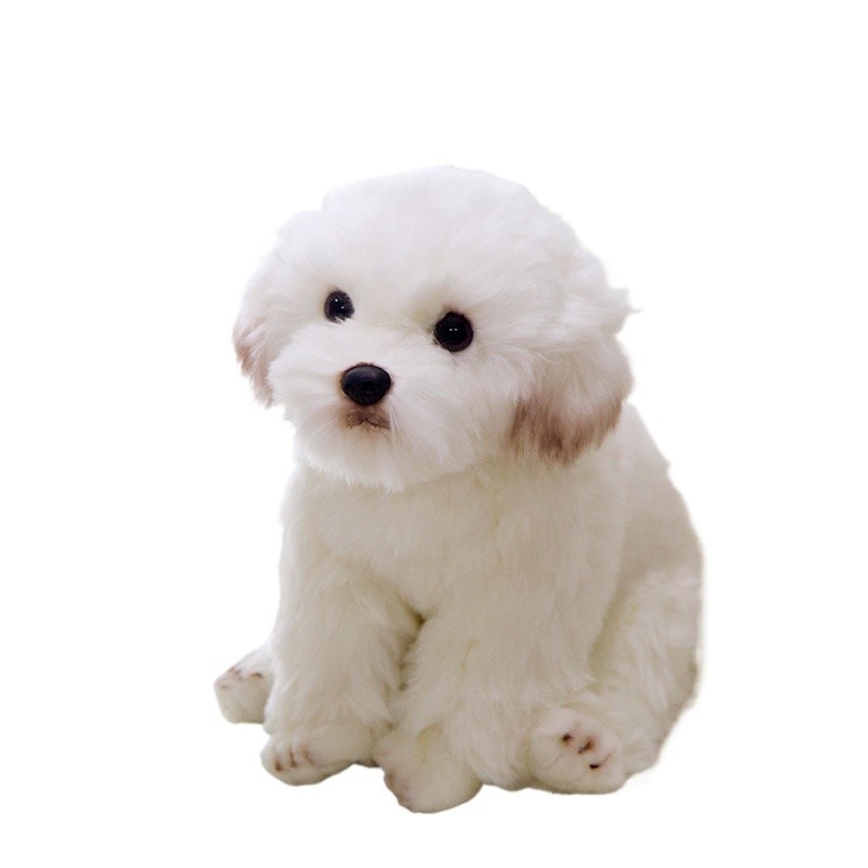 Lifelike Maltese Dog，Malta Puppy Plush Toy Stuffed Animal Doll Lifelike ...