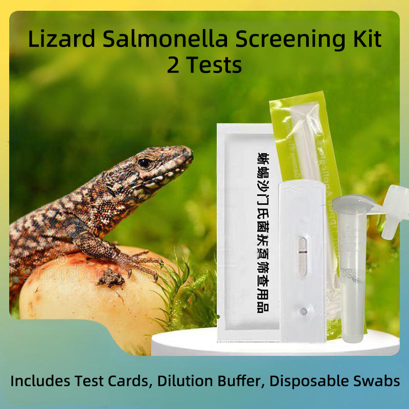 Lizard Salmonella Antigen Rapid Test Kit for Reptiles – Pet Health ...