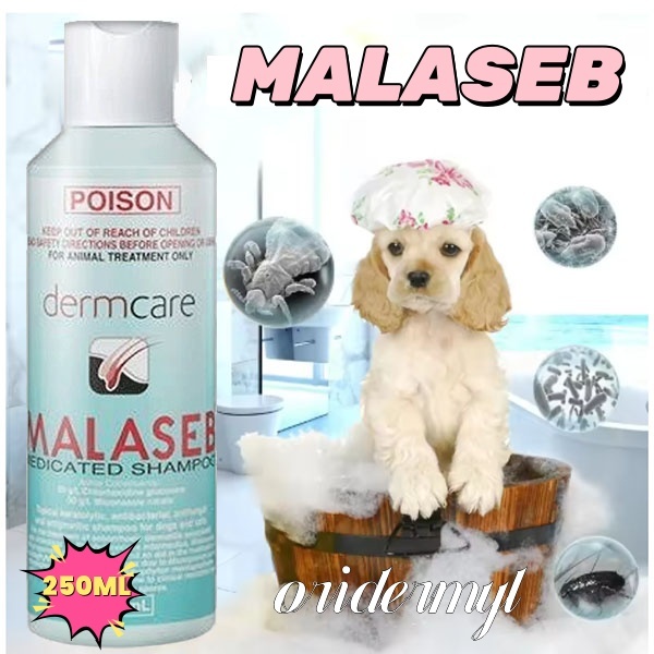 【buy 2 get 1】Malaseb Medicated Shampoo for Dogs & CatsMalaseb Medicated ...
