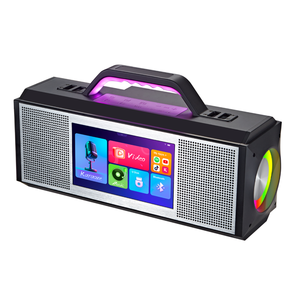 Karaoke Machine for Adults with Lyrics Display, 2 Wireless Mics ...
