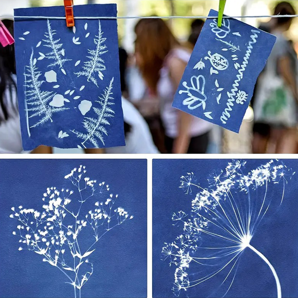 A6 Cyanotype Set & Refill (Set/Refill16pcs/32pcs Optional) Cyanotype ...