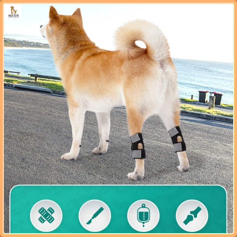 Pet Knee Protector/Pet Dog Leg Protector Joint Support Strip Knee ...