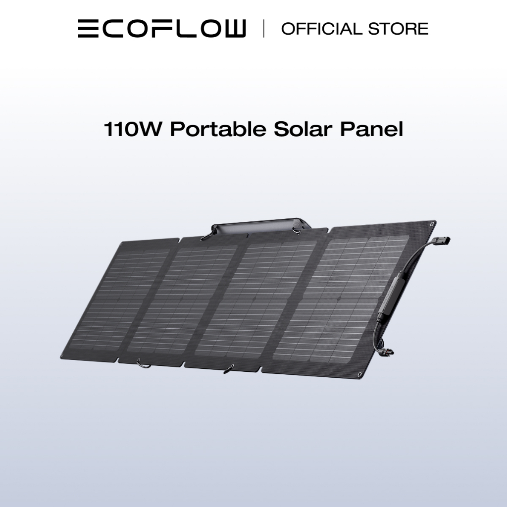 ECOFLOW, Online Shop May 2026 | Shopee Singapore