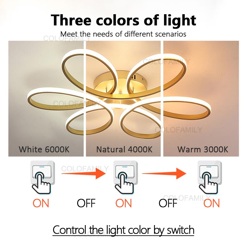 3 Colors Ceiling Lights LED Decorative Lights Home Living Room ...