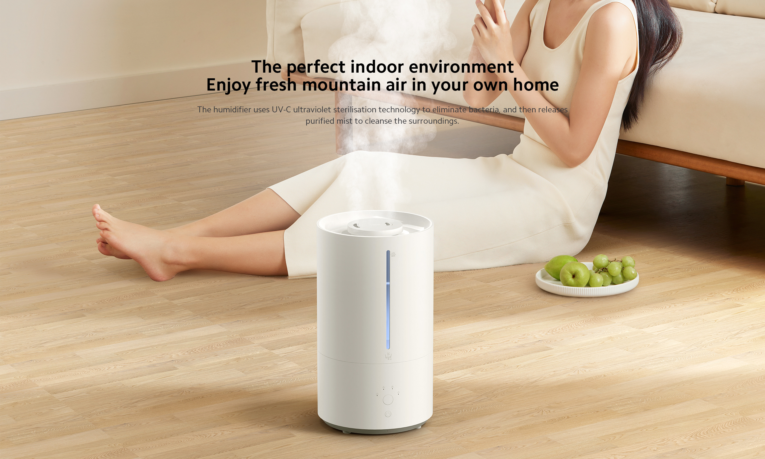 Xiaomi Smart Humidifier 2 EU | Shopee Singapore