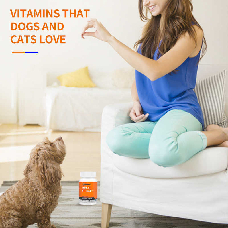 Puainta Pet Multivitamin For Dogs and Cats Vitamin B1 B2 B6 B12 ...