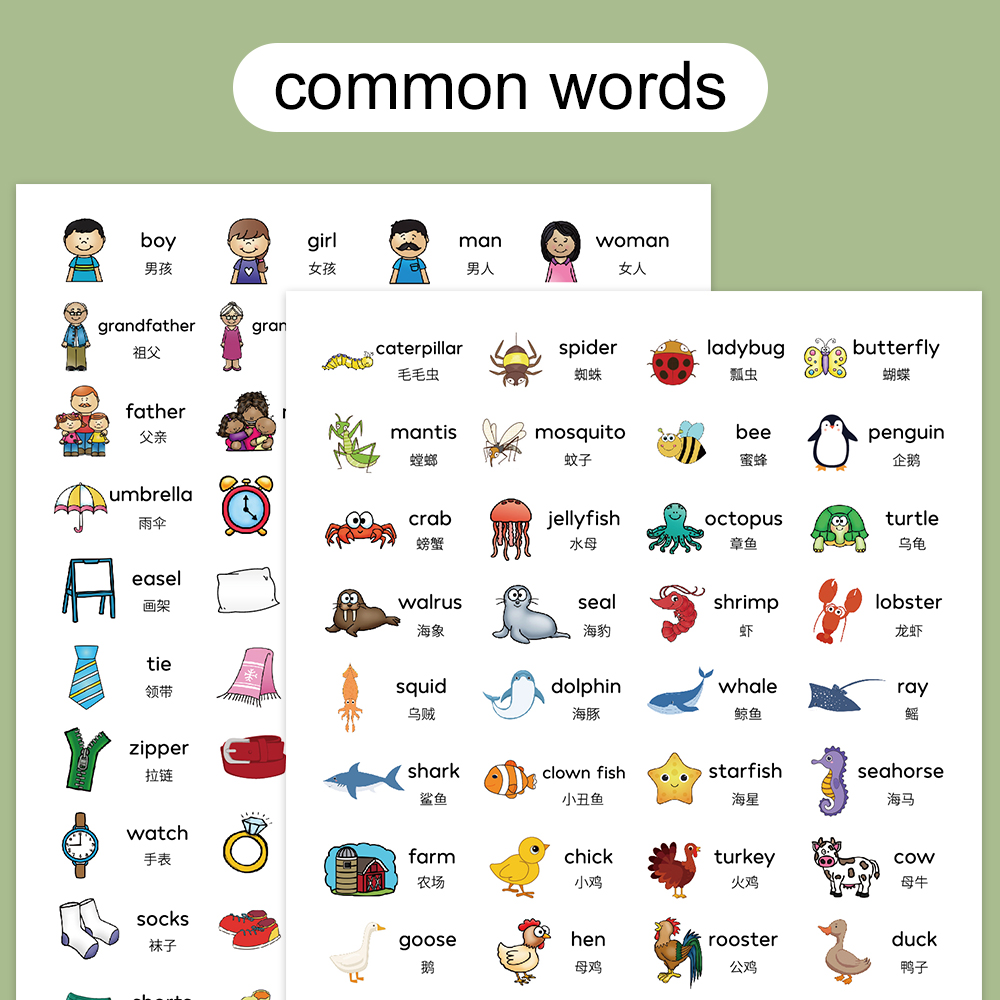 200 English Family Daily Routines Sentences Common Chinese Situational ...