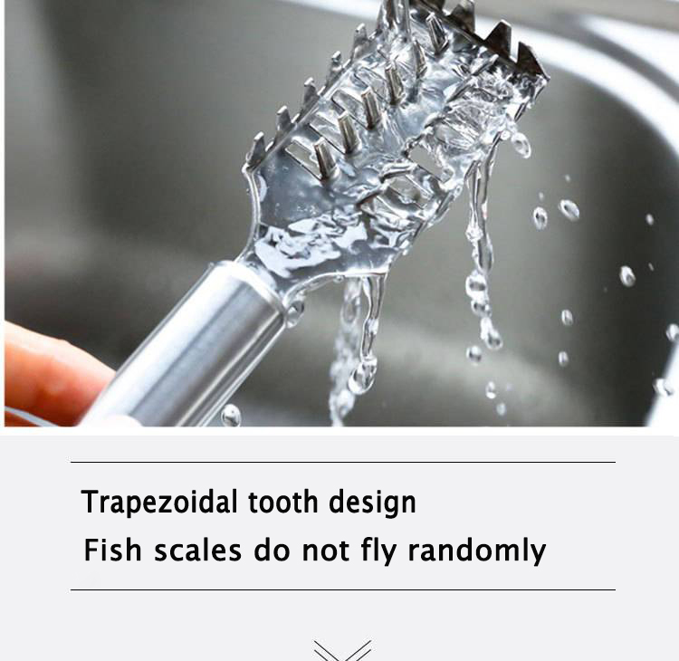 Stainless Steel Fish Scale Cleaner Remover Scaler Descaler Home ...