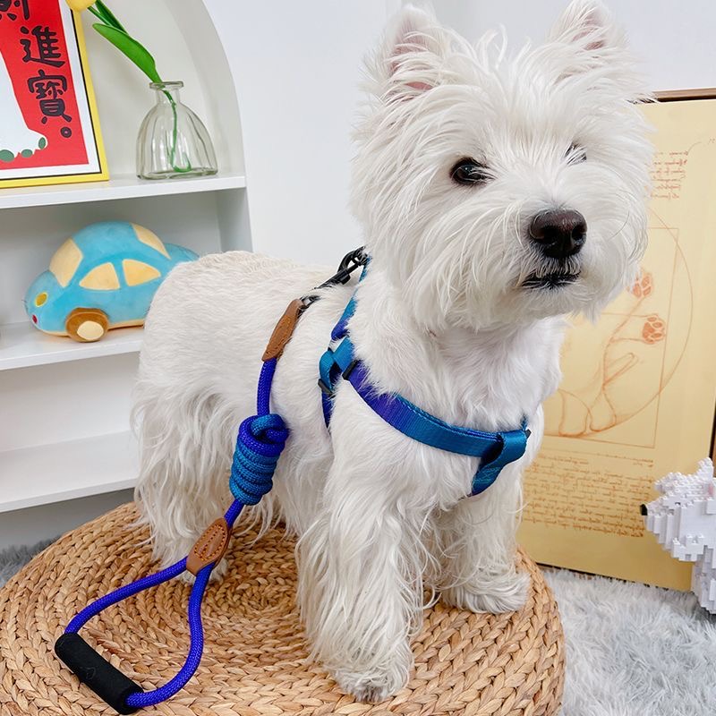 Pet harness with leash Adjustable large medium and small dog universal ...