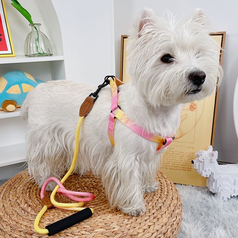 Pet harness with leash Adjustable large medium and small dog universal ...