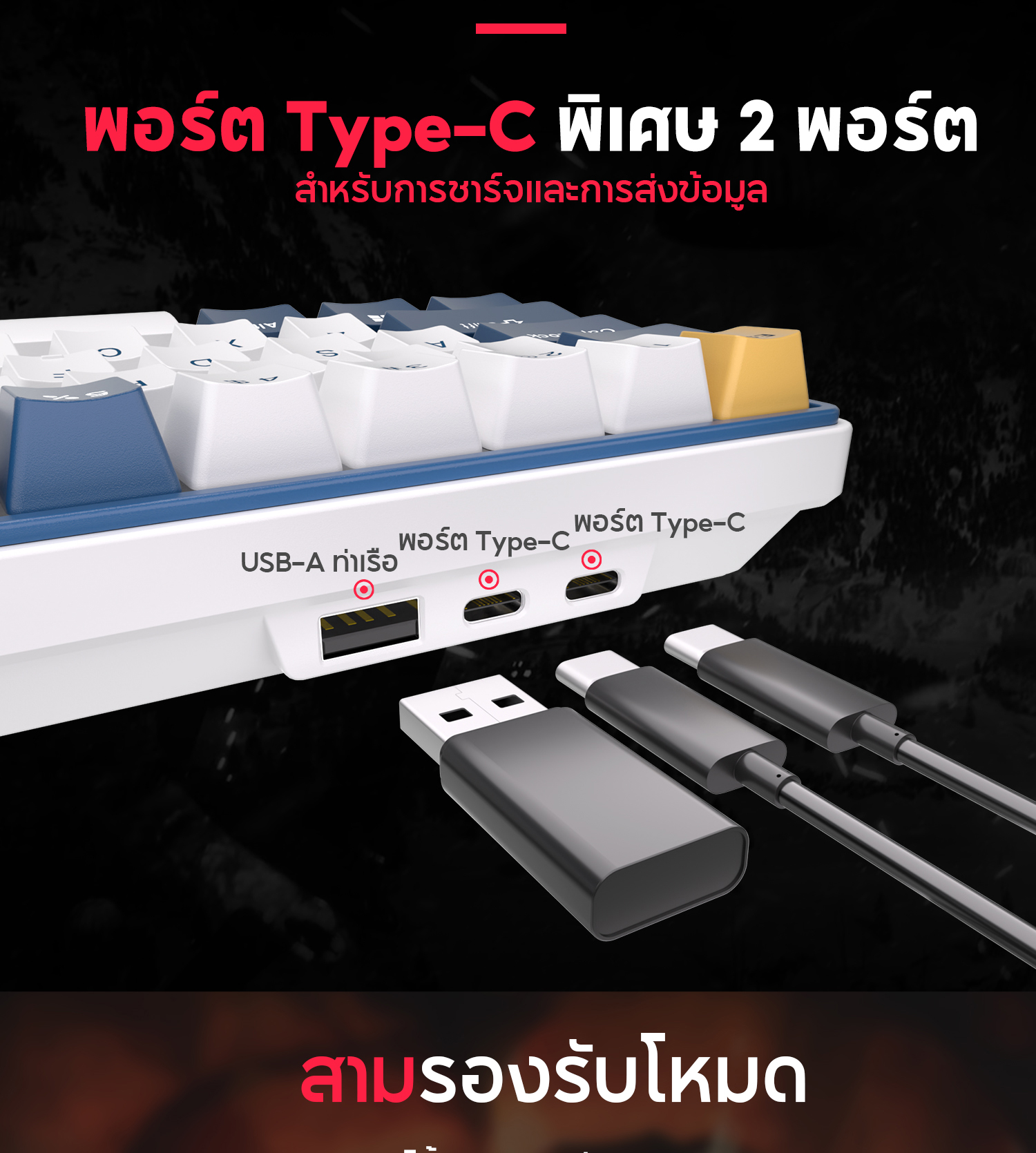 Royal Kludge RK61 PLUS RK61 RGB 3 Modes Hotswap Mechanical Keyboard ...