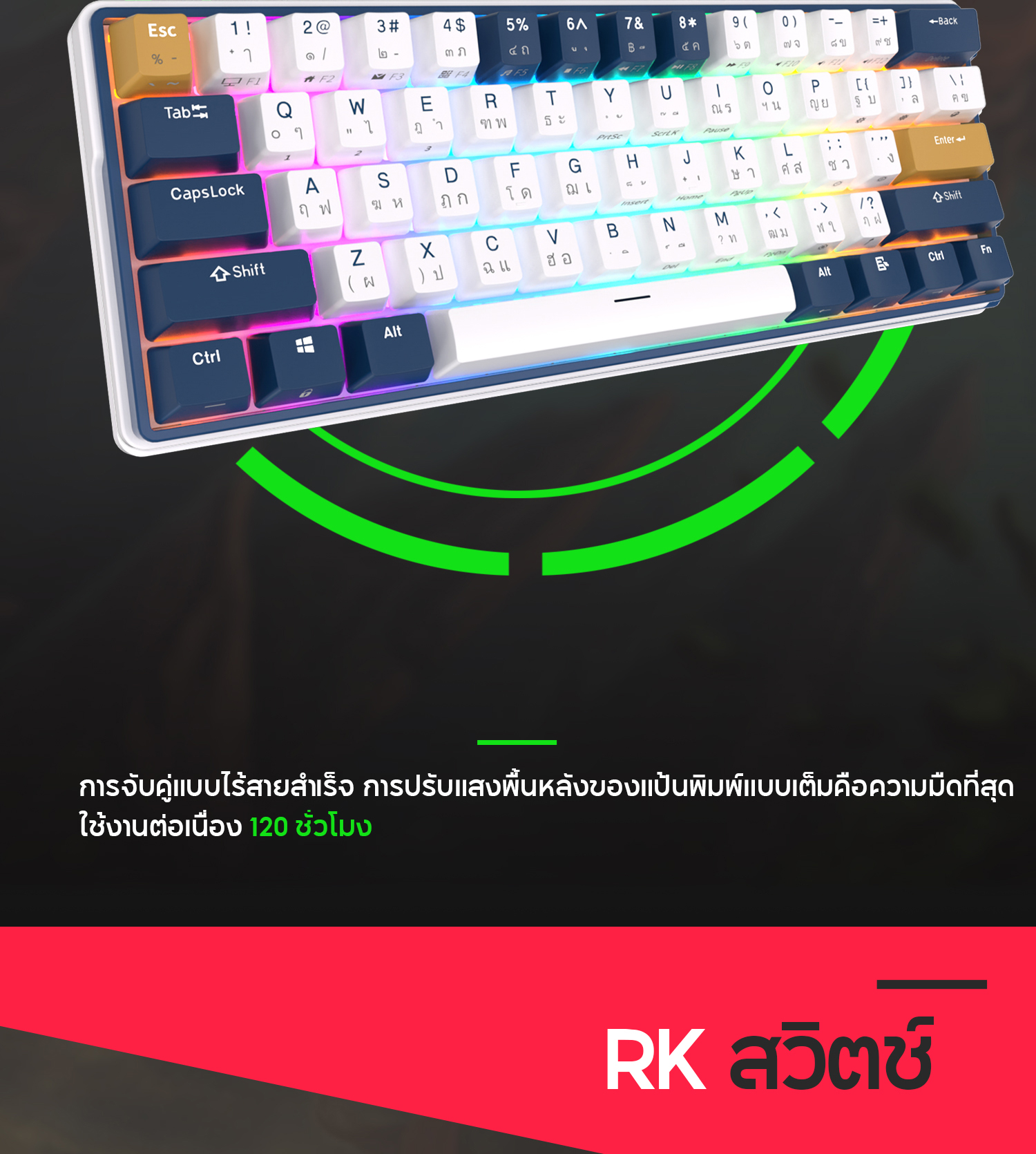 Royal Kludge RK61 PLUS RK61 RGB 3 Modes Hotswap Mechanical Keyboard ...