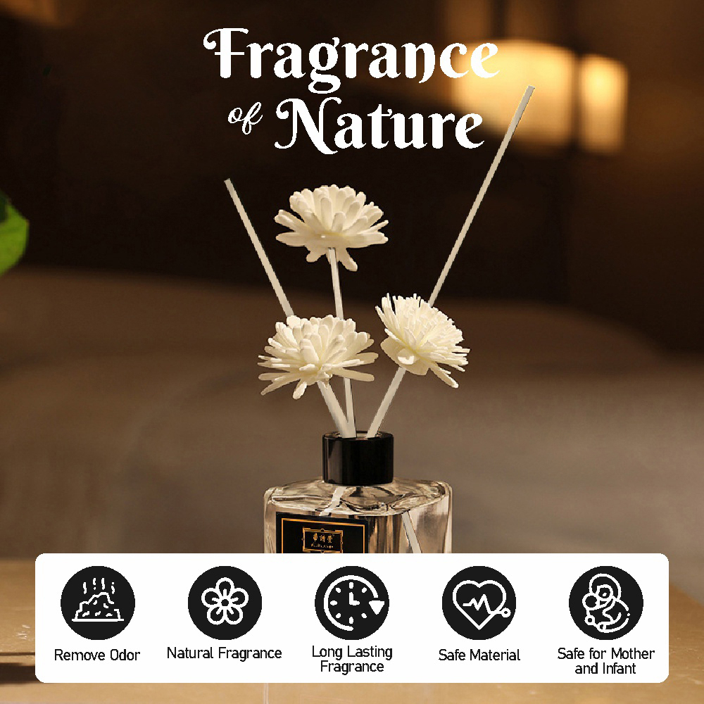 SG STOCK 50ML Botanical Aromatherapy Essential Oil Hotel Scents Aroma ...