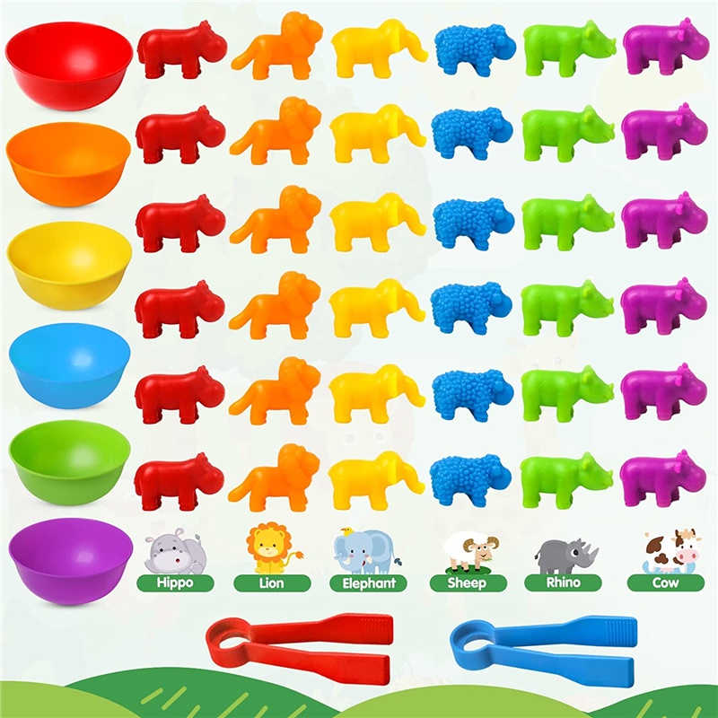 Classification Toys Color Sorting Counting Toys for kids Preschool Math ...