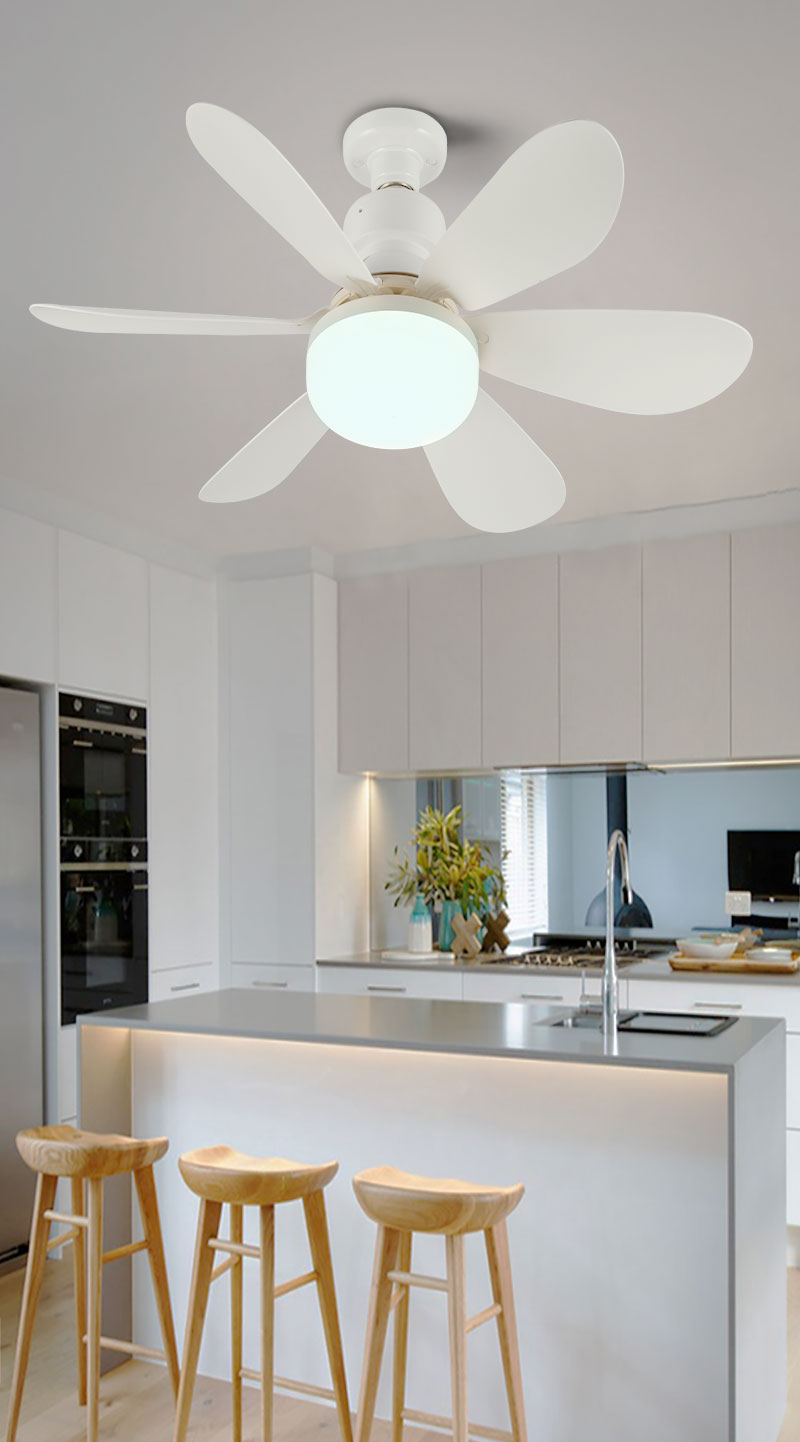 【FREE Holder】2in1 E27 Socket Ceiling Fan With Light Ceiling Fan LED ...