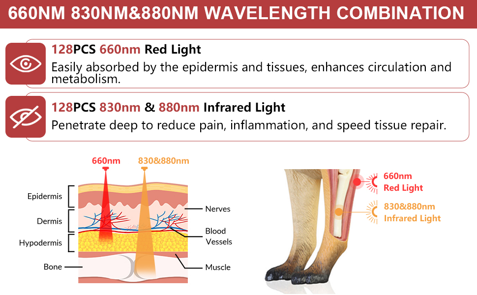 KTS Cold Laser Therapy Device for Dogs and Humans,Red Light Therapy for ...