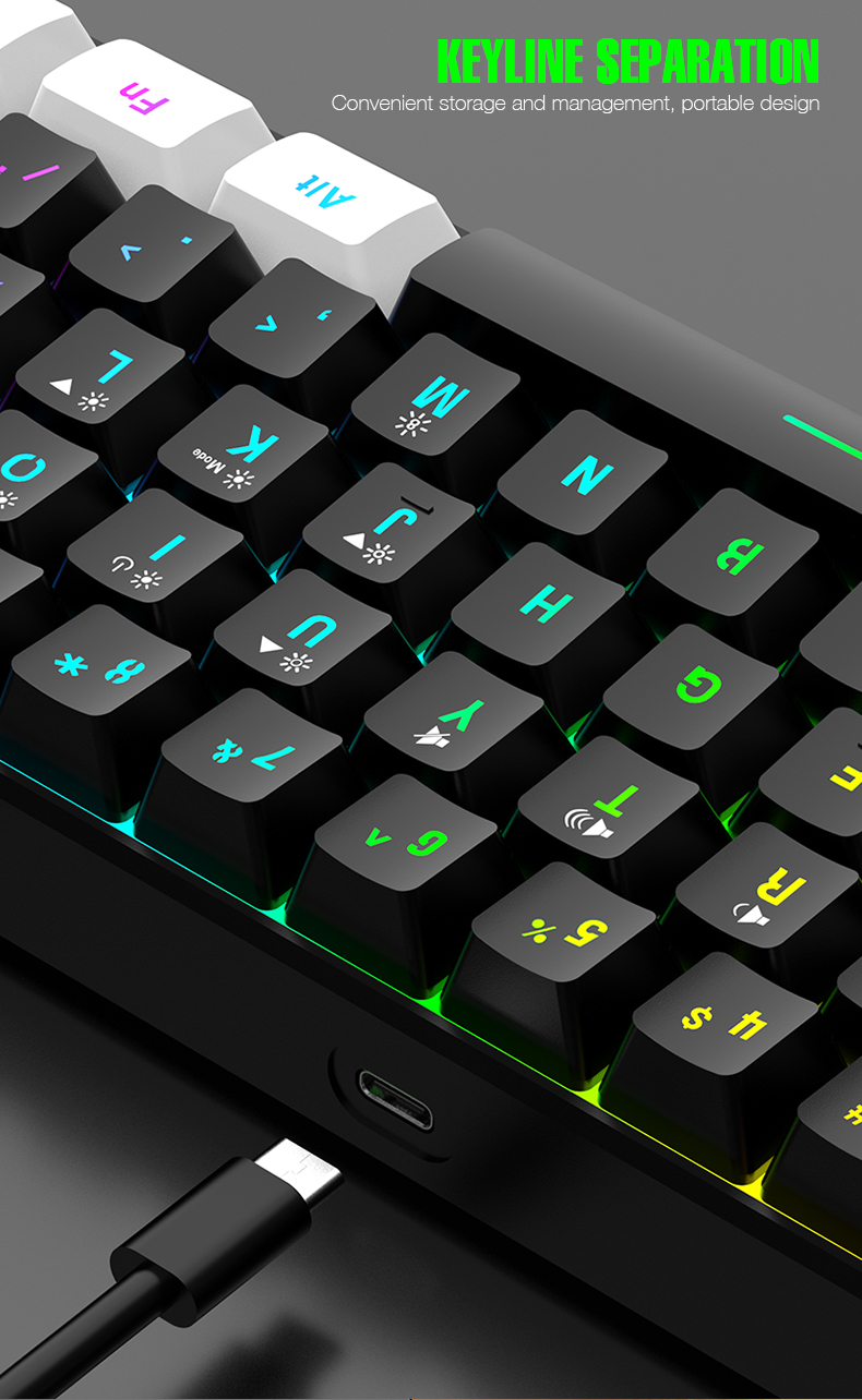 Wired Keyboard 61-Key RGB Backlight Mini Compact USB-C Pluggable Power ...