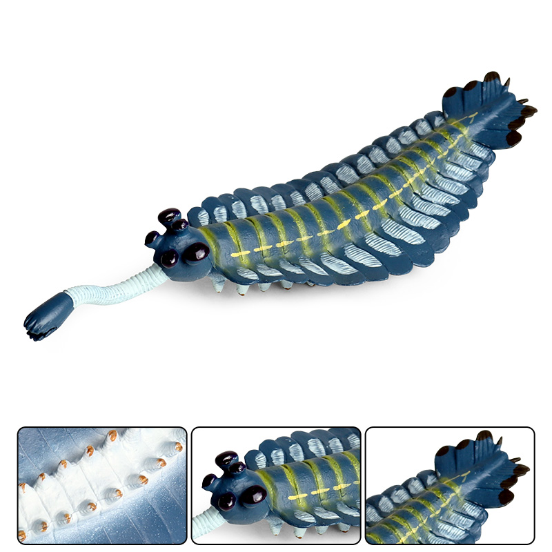 Cambrian Prehistoric Ocean Orthoceras Opabinia Trilobite Crab Shark ...