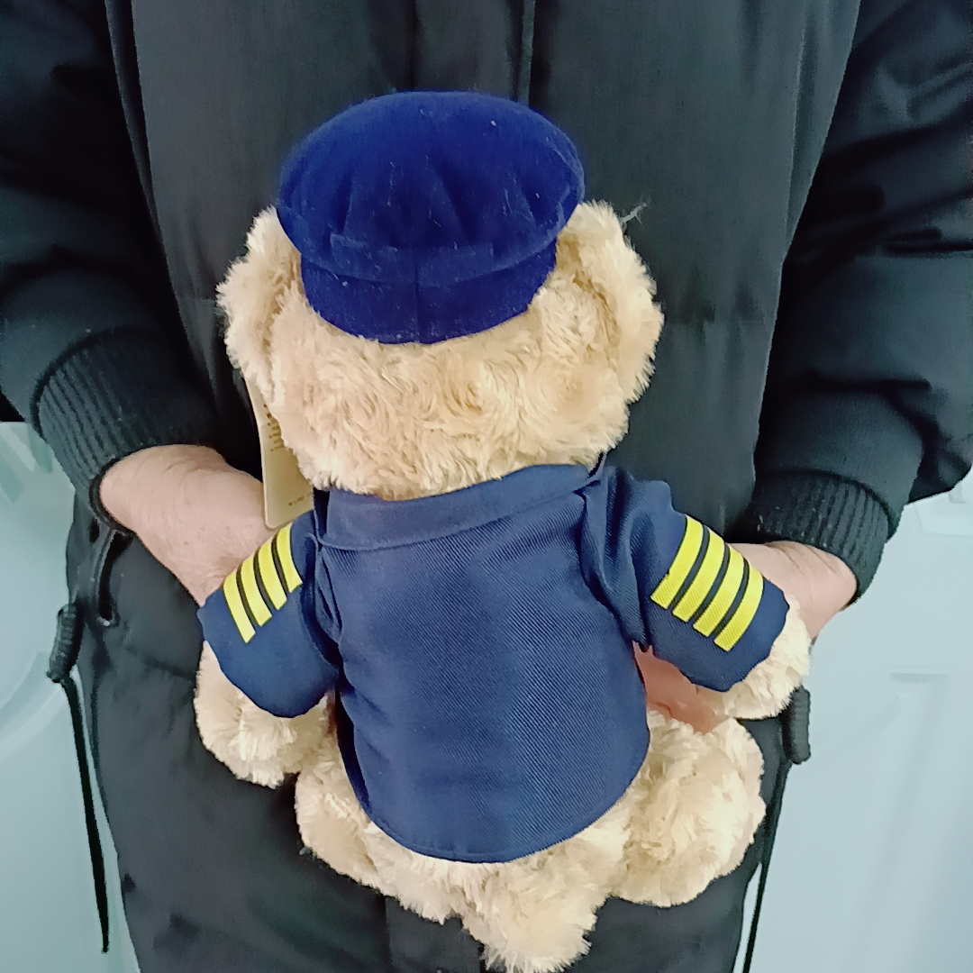 25cm Pilot Teddy Bear Plush Toy Captain Bear Flight Attendant Doll ...