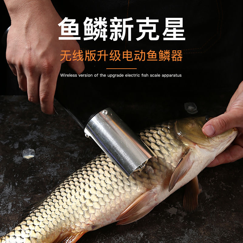 [110v/220v] Electric Fish Scale Machine Electric Fish Scale Scale Scale ...